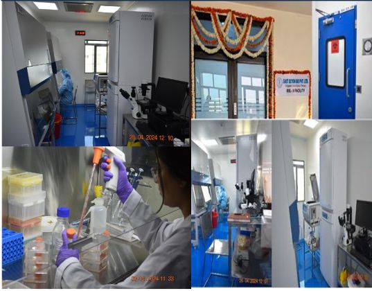 East Ocyon Bio | Cell & Gene Therapy | CAR-NK Cancer Treatment | India