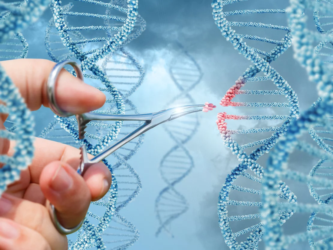 East Ocyon Bio | Cell & Gene Therapy | CAR-NK Cancer Treatment | India